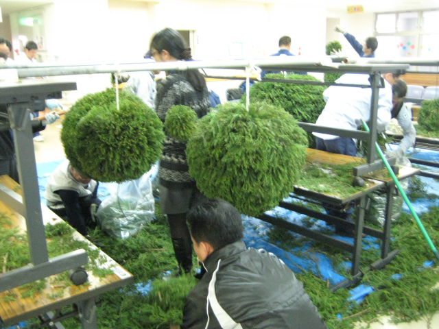 杉玉づくり : オビダラ日記～飫肥杉ダラケのまちづくり～