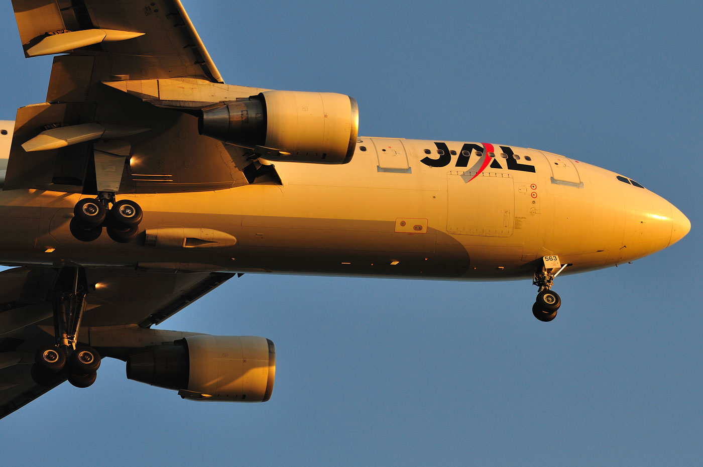 AIRBUS A300-600R / JA8563 : SKY LOUNGE GARDEN -transporter side-