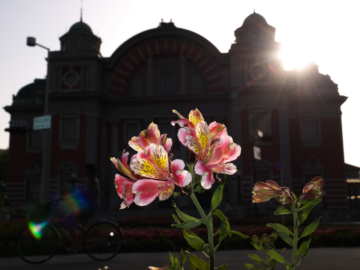 中之島スナップ : 写真部