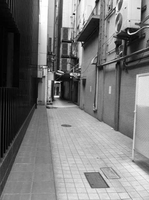 路地百景-その1【復刻版】 : ad73－le rapport du moniteur