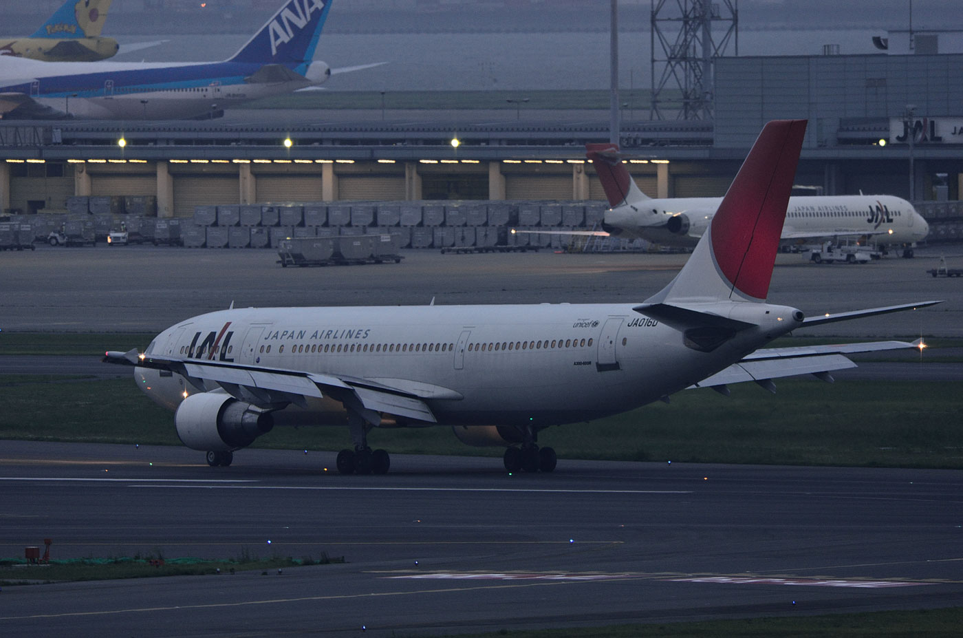 JAL A300-600R / JA016D - 最後の着陸 - : SKY LOUNGE GARDEN -transporter side-