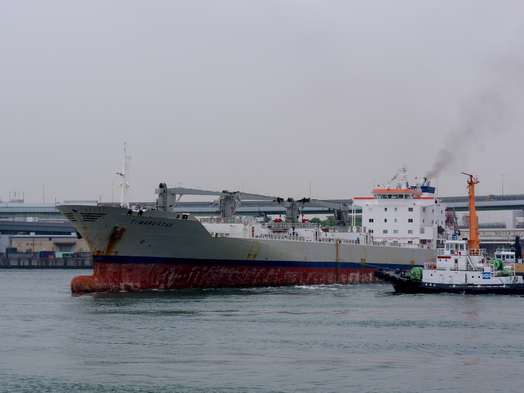 TIMARU STAR : いつか見た船