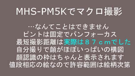 MHS-PM5Kでマクロ撮影 : Fire and forget