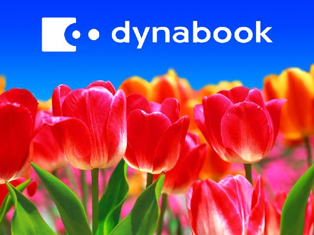 DynaBook Wallpaper : 東芝パソコン昔懐かしの壁紙コレクション