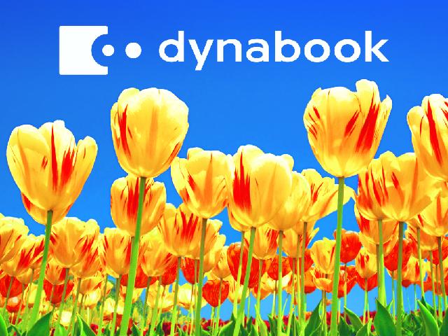 DynaBook Wallpaper : 東芝パソコン昔懐かしの壁紙コレクション