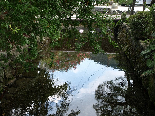 『涼風と清流を求めて・・・（醒ヶ井・地蔵川の風景）』 : 自然風の自然風だより