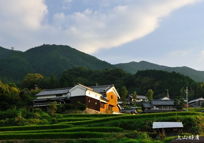 明日香路号 : Yoshinobu Ueyama Photo Blog "Asukaji"