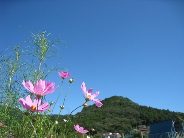 Jamon Minakami（はもんみなかみ）の生ハム : よく飲むオバチャン☆本日のメニュー