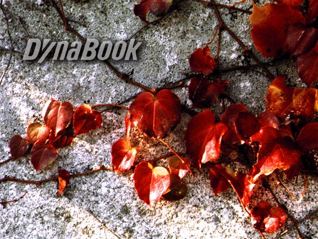 DynaBook Wallpaper : 東芝パソコン昔懐かしの壁紙コレクション