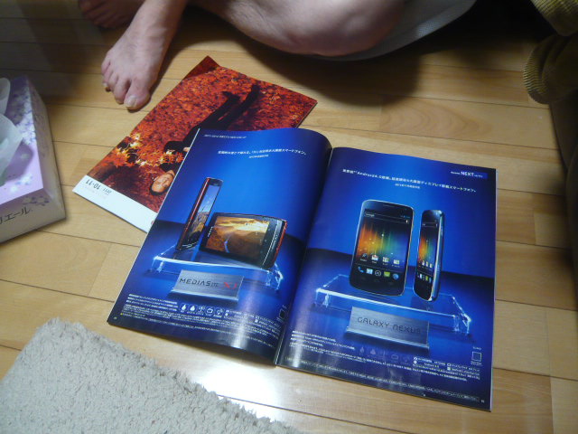 JOT 赤帯 祭り！ : HEART-STATION 拝島 「鉄道模型製作記」