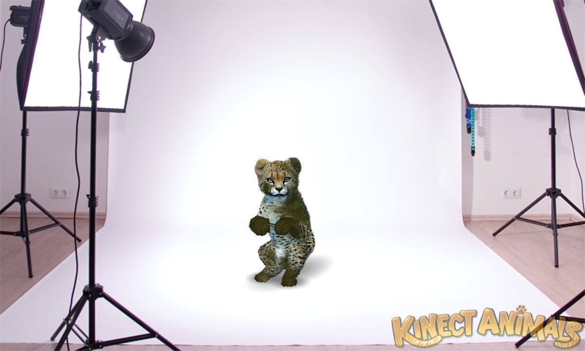 WP7：Kinectimals (Kinect Animals) : Ookami@FFXI試練鯖