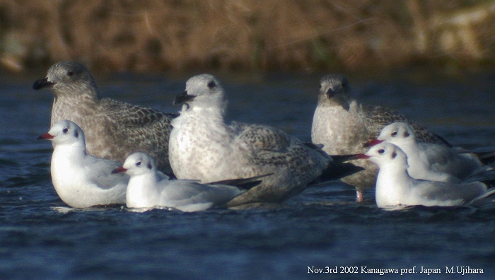 9年前 : MU's Diary