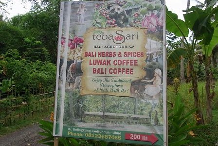 ここにもオレンジチョコが！@ Teba Sari , Bali Agrotourism (Lodtuduh, Ubud ) : 道楽のススメ