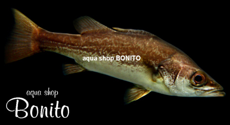 Curatrix Conservation Group - The ZT2 Round Table