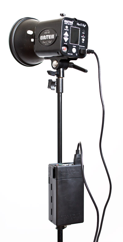 2012/01/25 VAGABOND MINI／SQ400 : shindoのブログ