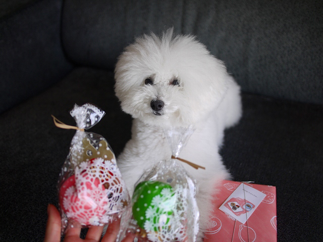 デビルもぐみるく : もぐと一緒に