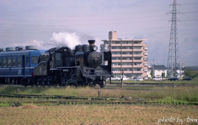 城端線全線開通100周年C56(2) : Tomの鉄道王国