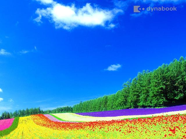 Dynabook Wallpaper : 東芝パソコン昔懐かしの壁紙コレクション