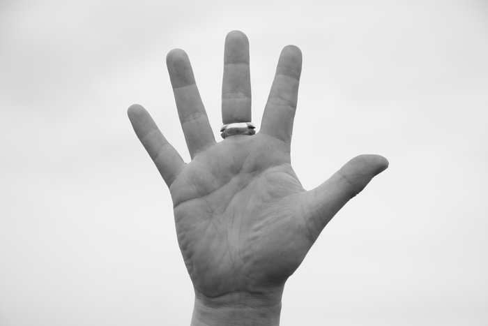 SAFARI+HANDのこと : café de safari tour