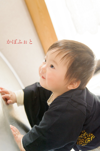 お宮参りの写真撮影 ＠板橋区・東新町氷川神社 : 「かぼふぉと」撮影ブログ