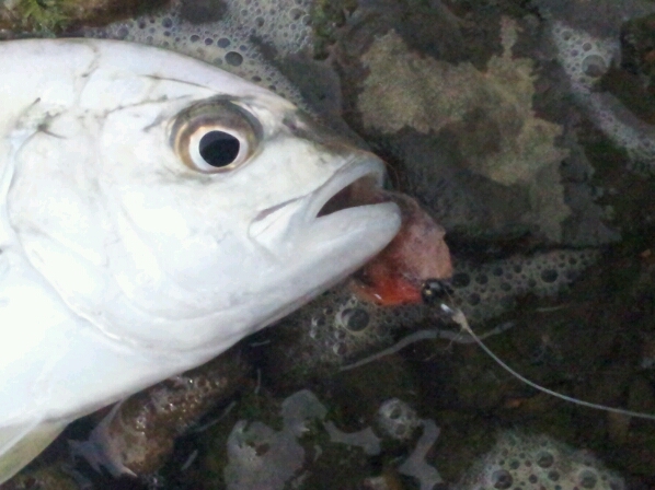 嬉しいね～♪ : real amami one day