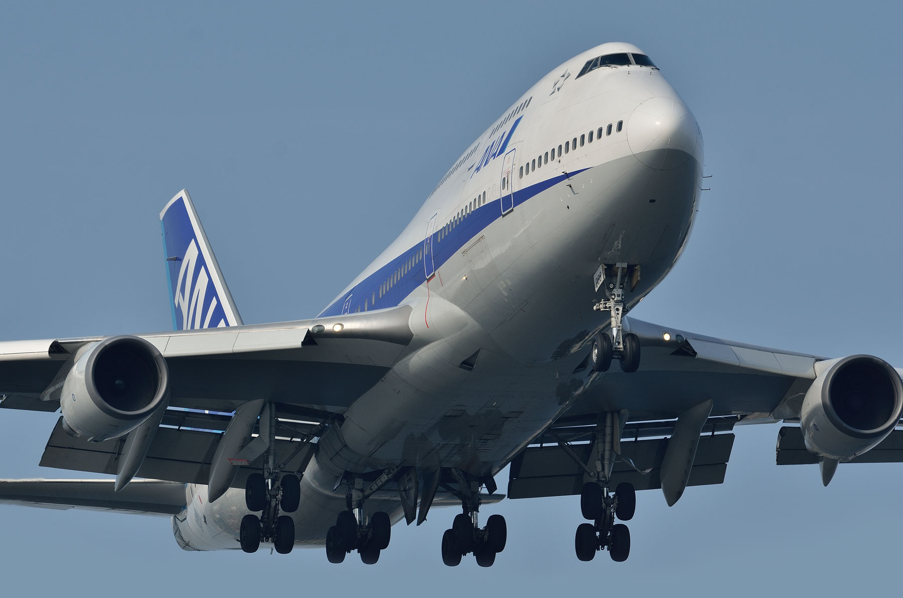 BOEING 747-400D / JA8966 : SKY LOUNGE GARDEN -transporter side-
