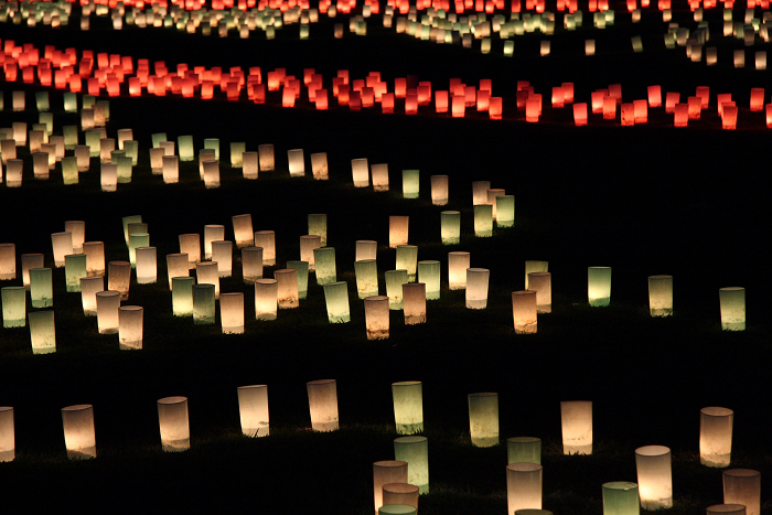 なら燈花会（前編） : MEMORY OF KYOTOLIFE