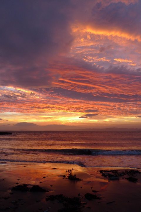 ウスタニ・ミホの店