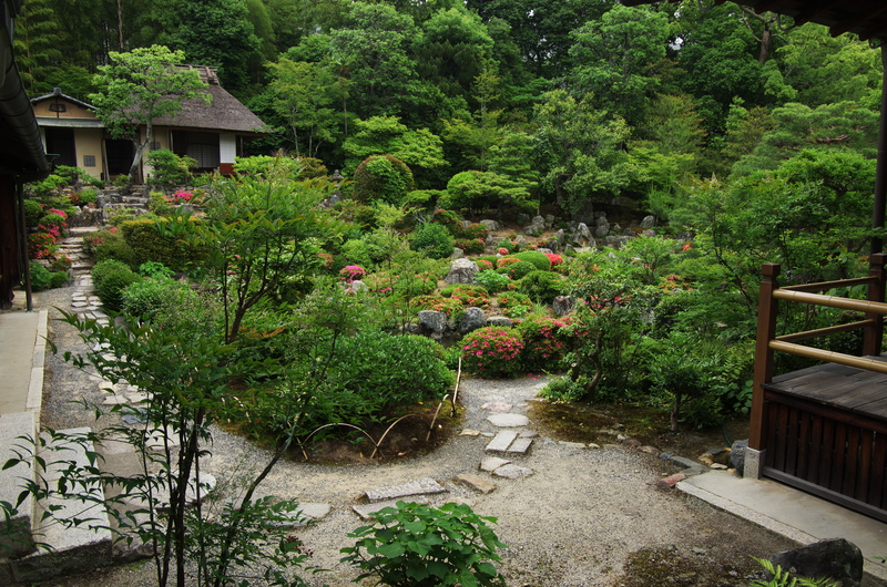 等持院・サツキの頃 : 花景色－K.W.C. PhotoBlog