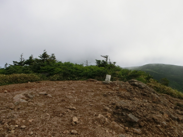 トレイルラン ～西大巓～西吾妻山～ : はやはやしおんた