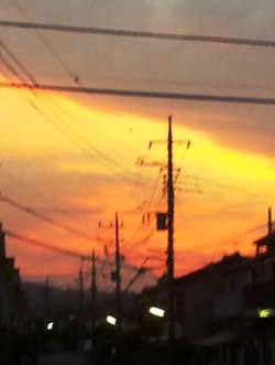 朝のウォーキング : アリスカフェへようこそ