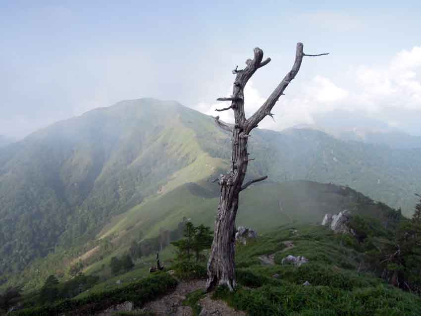 2012「剣山夏祭り」～劔山本宮劔神社例大祭～07♪「早朝登山」♪ : すえドンのフォト日記