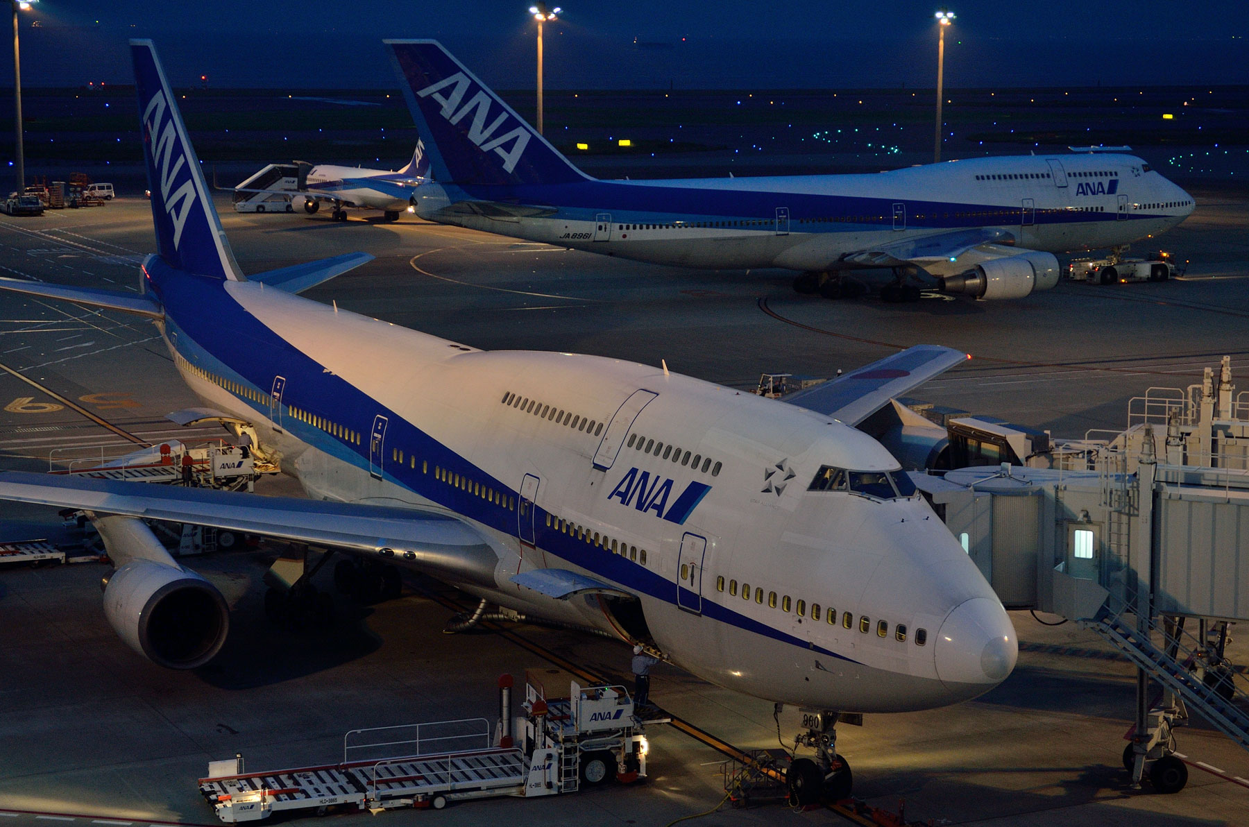 BOEING 747-400D / JA8960 : SKY LOUNGE GARDEN -transporter side-