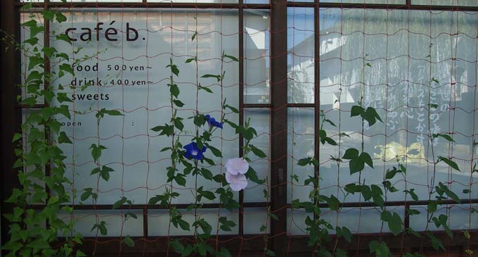 飛騨古川の朝顔-Ⅱ 岐阜県・飛騨市 : TOM'S Photo