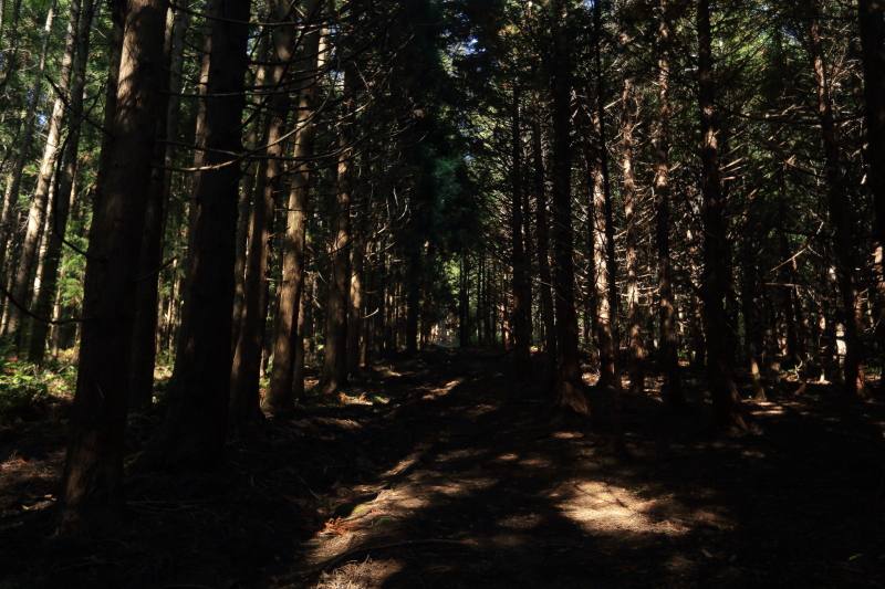遠野三山滝巡り(石上山) : 不思議空間「遠野」 －「遠野物語」をwebせよ！－