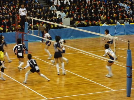 「春の高校バレー」大阪府代表決定戦 : Wind in life ～風に吹かれて～