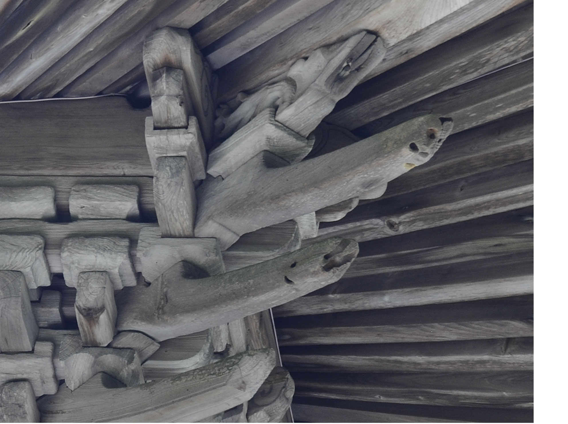 東観音寺・多宝塔(3枚組写真) : photokiti写真日誌