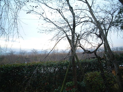 記念館紹介 ～ 横井小楠記念館と四時軒 ～ : くまもと森都心プラザ │ コンシェルジュブログ