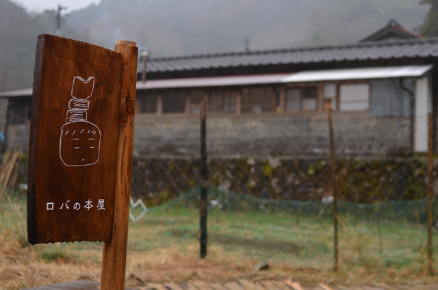 ロバの本屋へ : カメラと過ごす時間