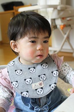 パンダちゃんスタイ スタイ祭り終了 : comame コマメ