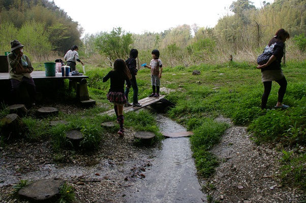 新緑のイッセンボク : 福ちゃんの里山通信