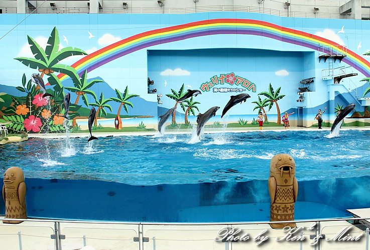 八景島 シーパラダイス ♪ : ケンケン＆ミントの鳥撮りLifeⅡ