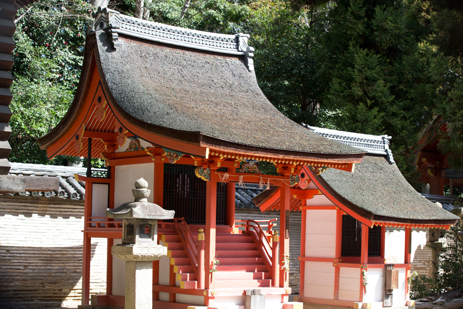 美、岩清水八幡宮を求めて「美と美」「美と美と美と美と美」 : 野山の散策