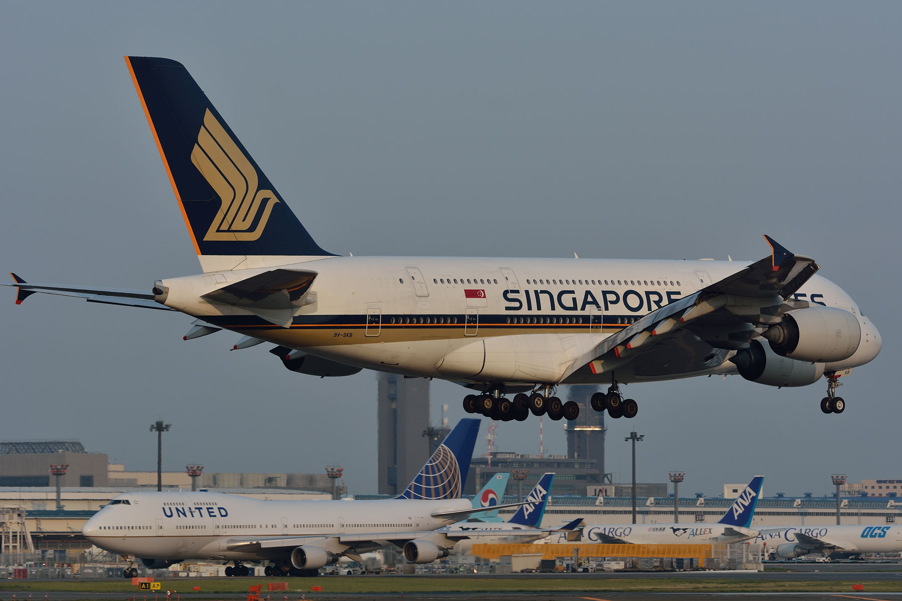 Airbus A380-800 / 9V-SKB : SKY LOUNGE GARDEN -transporter side-