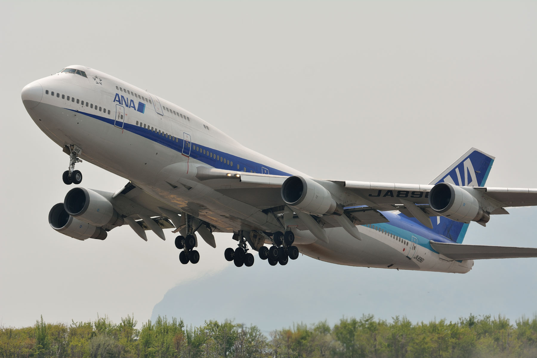 BOEING 747-400D / JA8961 : SKY LOUNGE GARDEN -transporter side-