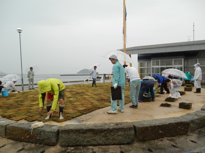 芝生広場の完成【唐津(芝生広場)/行徳・鍜治・河津】 : 九州大学景観研究室のブログ