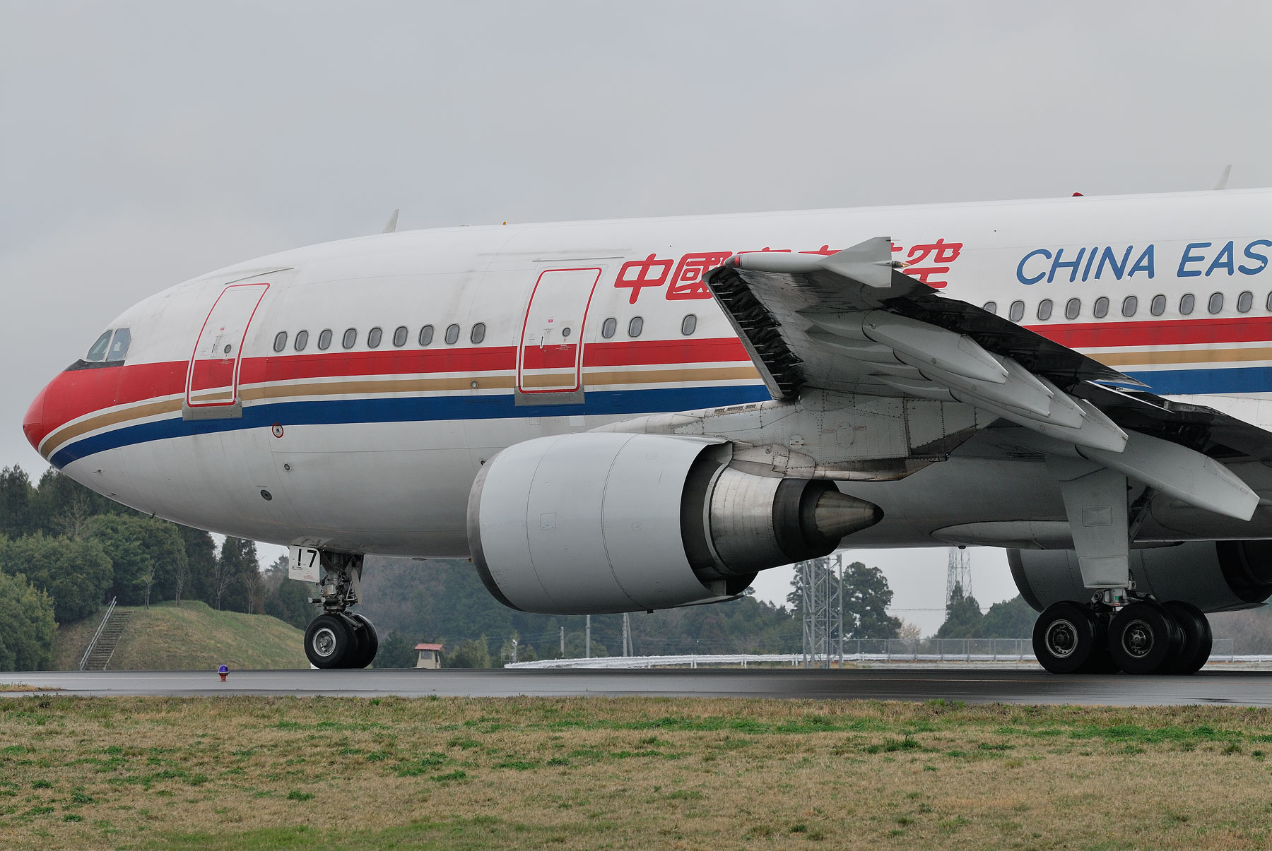 AIRBUS A300-600R / B-2317 : SKY LOUNGE GARDEN -transporter side-