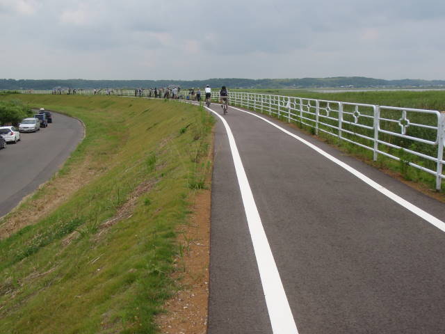 北印旛沼周遊-サンカノゴイって何？の巻 : 印旛沼ポタリング日記