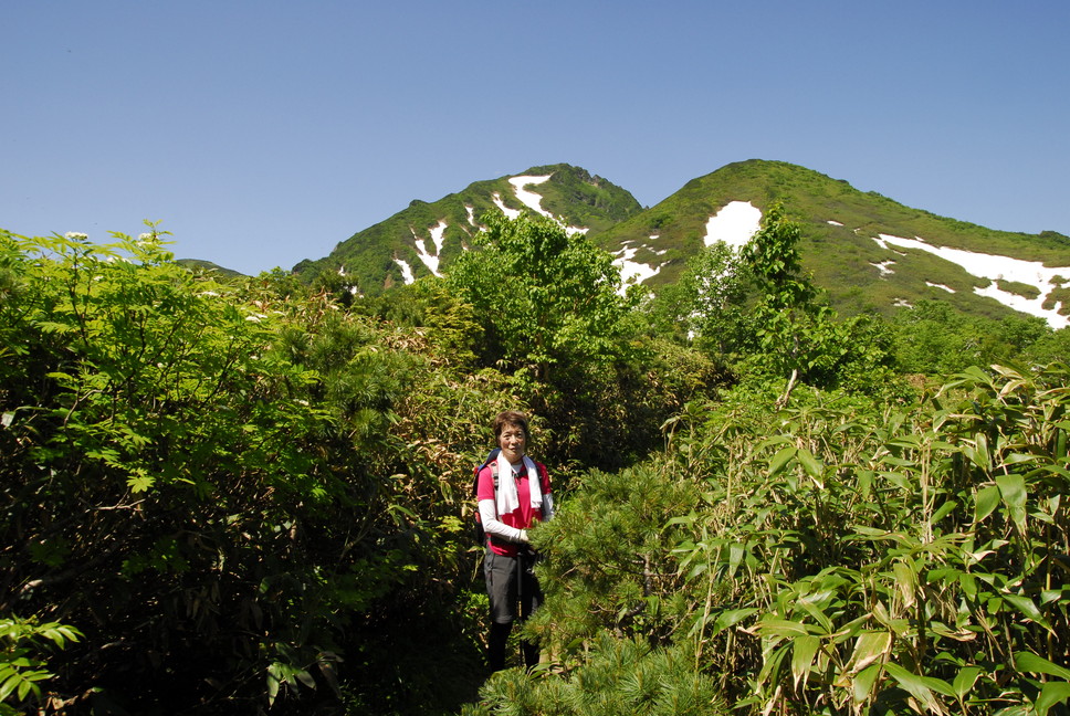 2013年6月 June, 2013 思い出を刻む芦別岳 Memories of Mt Ashibetsu : 小林皮膚科クリニック 院長ブログ