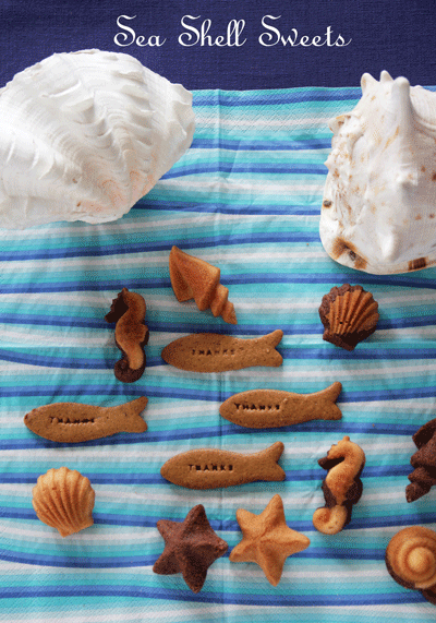 Sea Shell Sweets : SUGAR & BUTTER